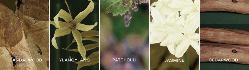 BAUM EAU DE COLOGNE｜MIND｜PRODUCTS｜BAUM（バウム）